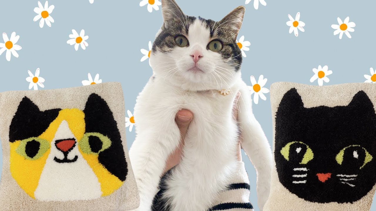 ASMR Rug Tufting Cat Pillow - YouTube