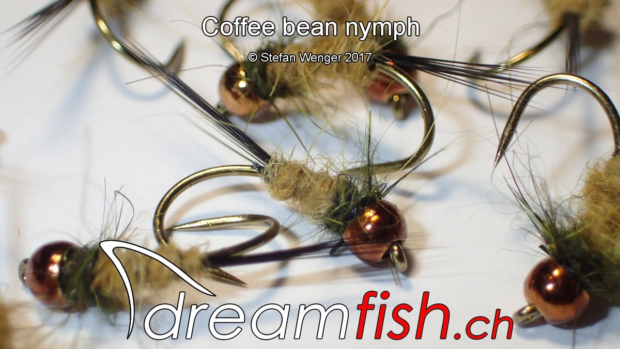 Coffee bean nymph - YouTube