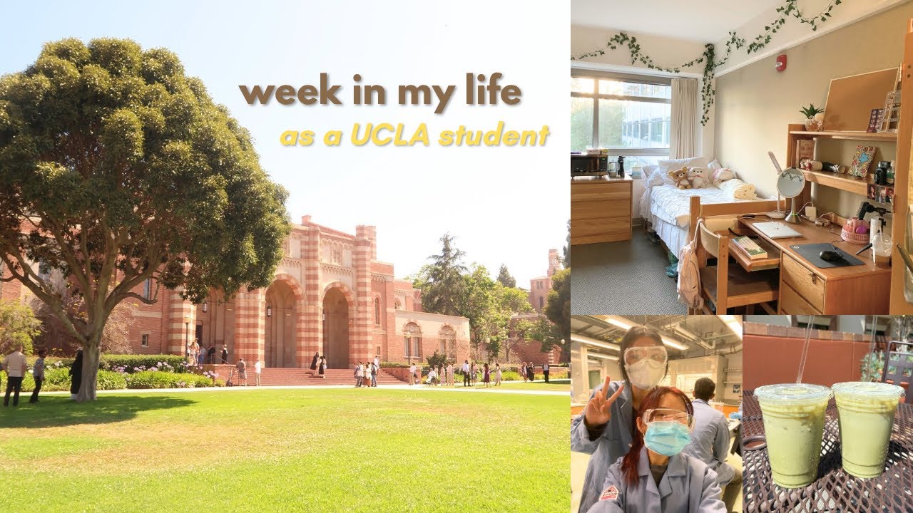 realistic college week in my life at UCLA: dining halls, lectures ...