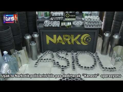 Uşak’ta Narkotik polislerini bile pes dedirtecek  ‘’Kenevir’’  operasyonu