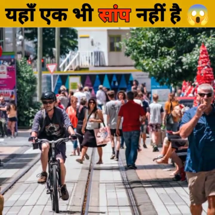 1 भी सांप नही हे यहाँ 😮 | Snake free country | #shorts #facts #viral # ...