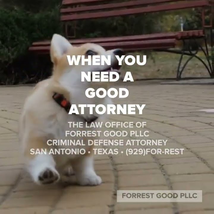San Antonio City Pop Pups in Texas | Law Office of Forrest Good PLLC ...