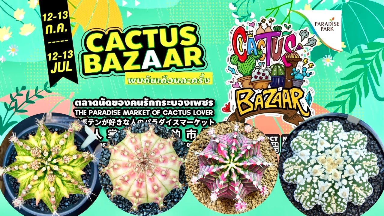 Tour Cactus Fair:🌵 Cactus Bazaar 12-13 July 2025 @Paradise Park|Don't ...