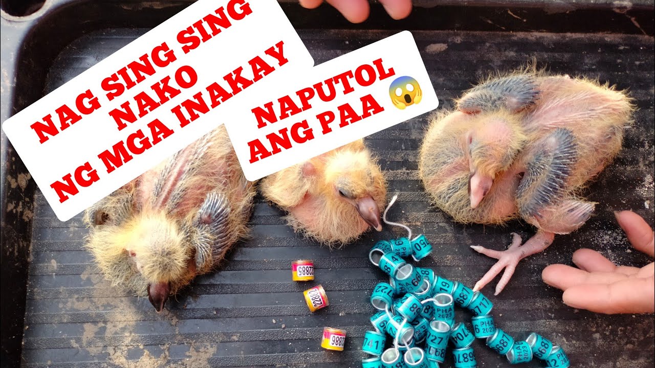 NAPUTOL ANG PAA😱 - YouTube