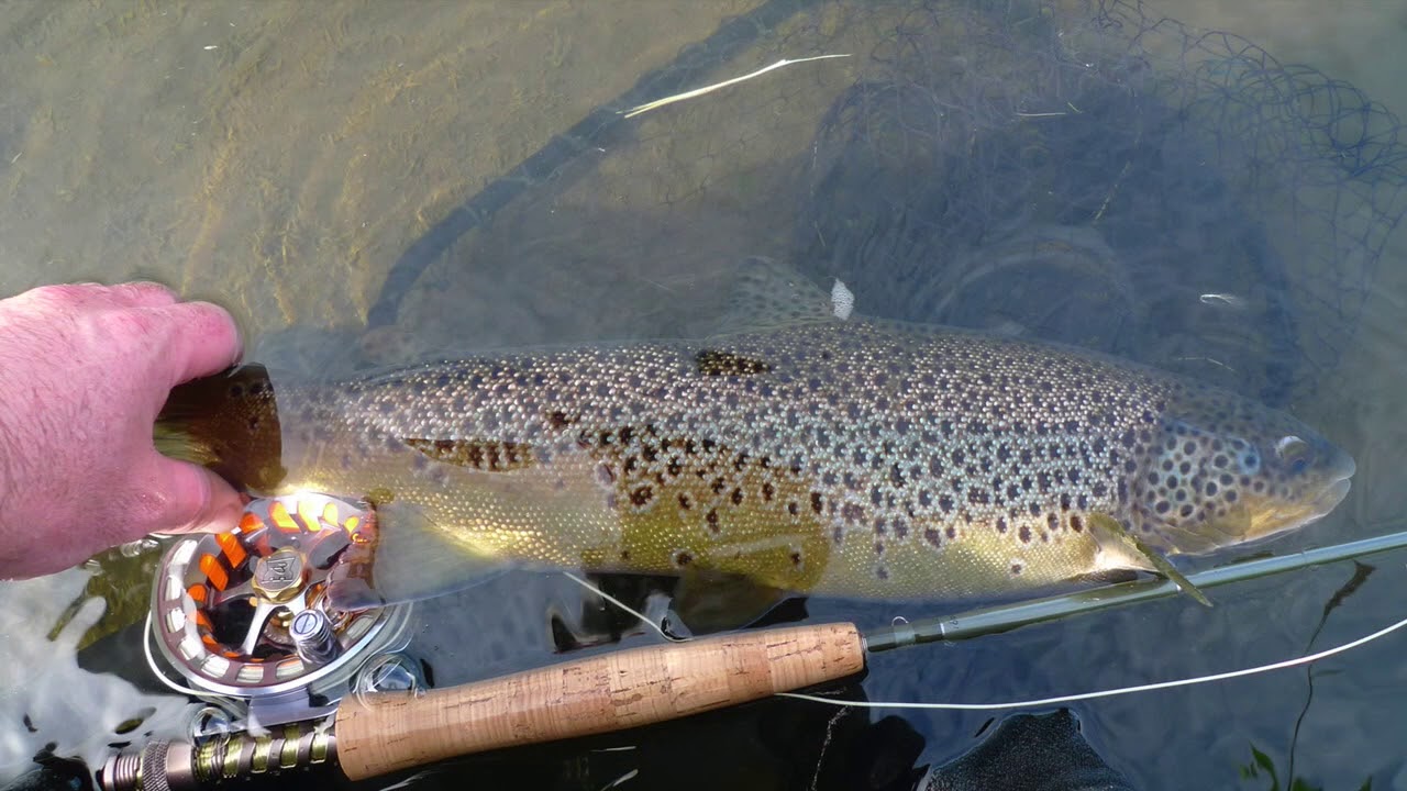 The Nursling Mill Beat - river Test, Hampshire - YouTube