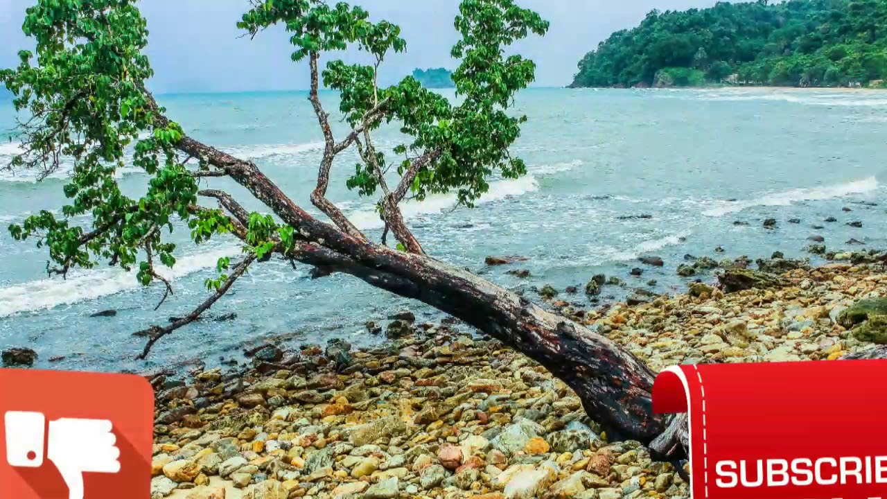 shamshi. talab.mehrauli. delhi. - YouTube