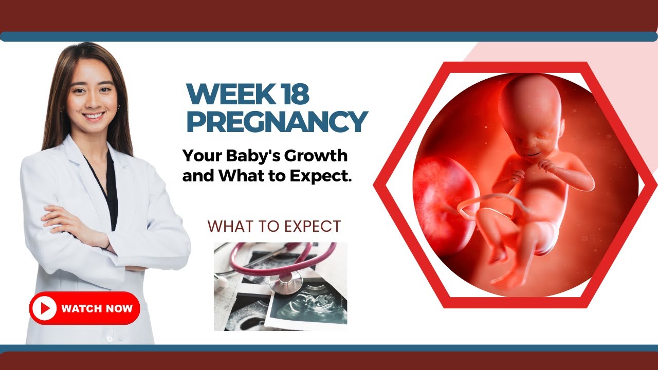 18 Weeks Pregnant: Your Baby's Growth and What to Expect. - YouTube