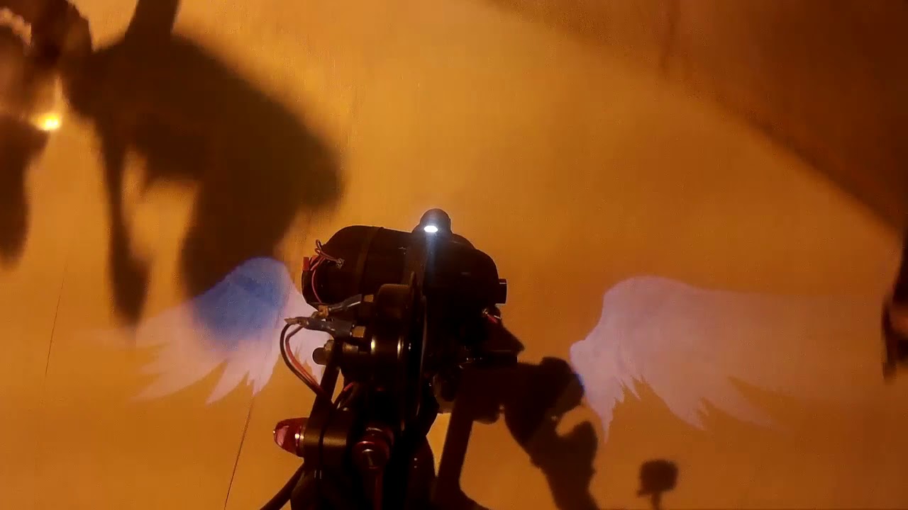 Angel Wings Projector on Electric Scooter - YouTube