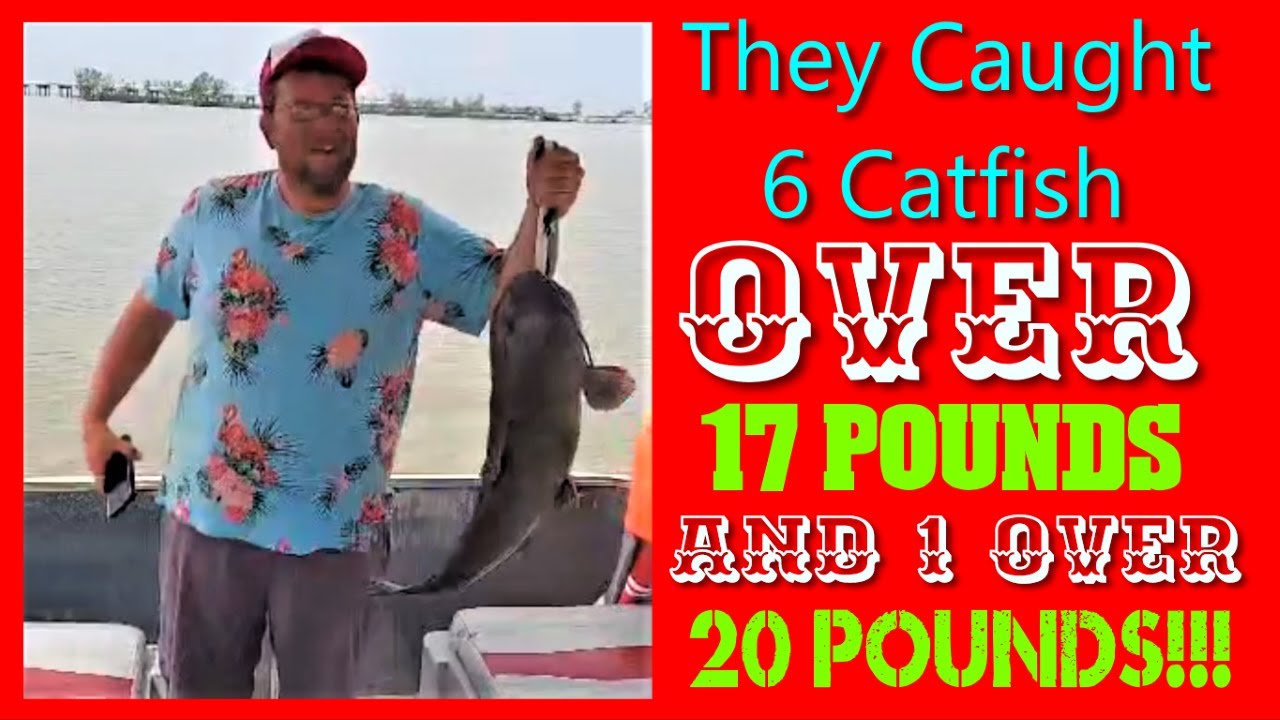 A 20 Pound, 6 Ounce Catfish and MANY over 17 pounds, WHAT a TRIP this ...