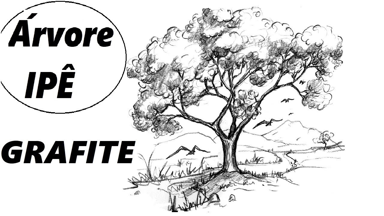 Como desenhar um IPÊ numa PAISAGEM - Parte 1 - Lápis de cor aquarelável ...