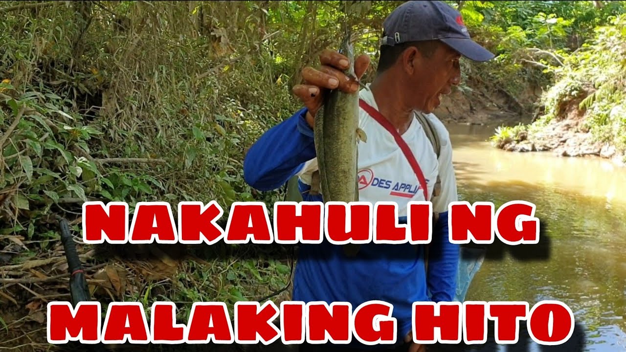 Malalaking hito | Big catfish | Electric fishing-part 1 - YouTube