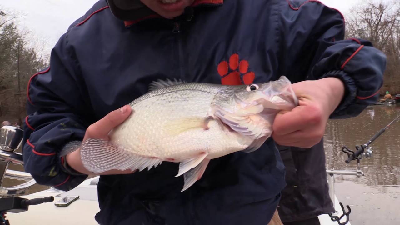 Highlights of Latest Ep Slab Crappie Fishing with Gary Davis - YouTube