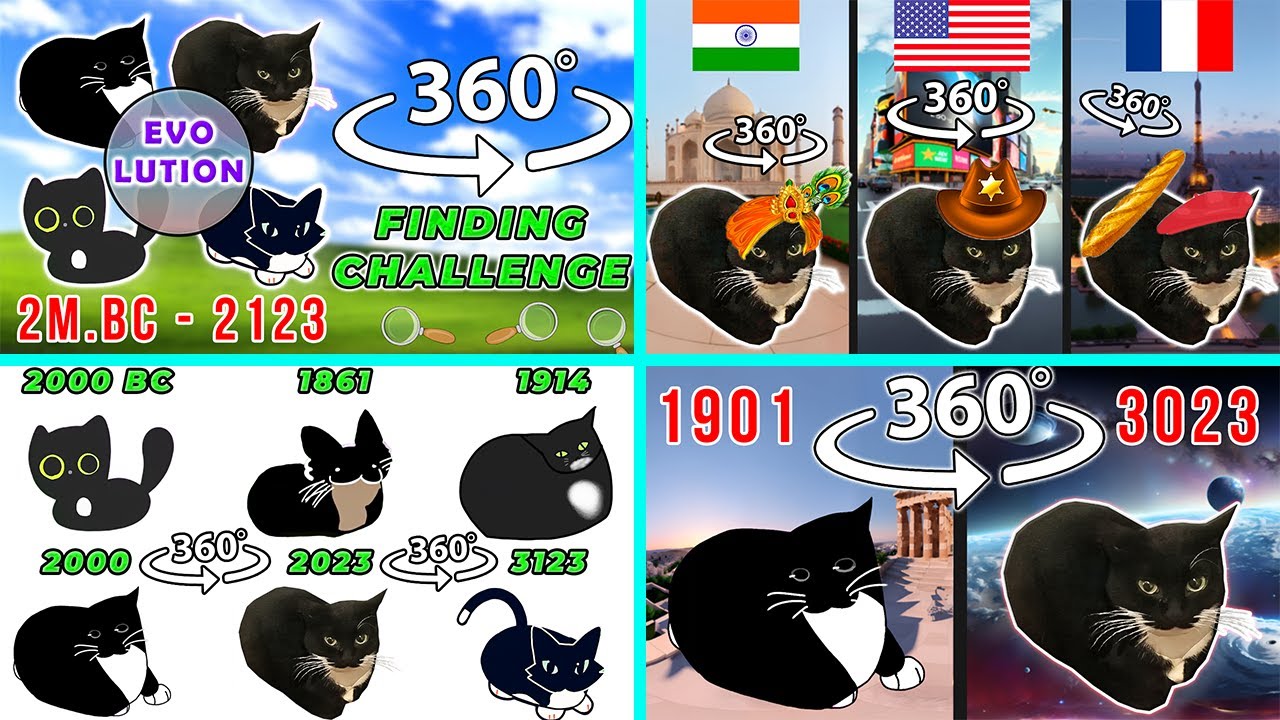 Maxwell Cat Compilation 360° - YouTube