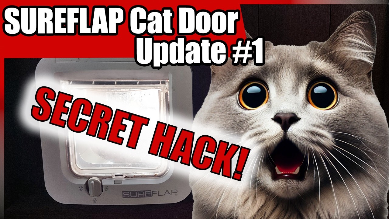 Secret Sureflap Cat Flap Mode - Won't Open Update No.1! - YouTube