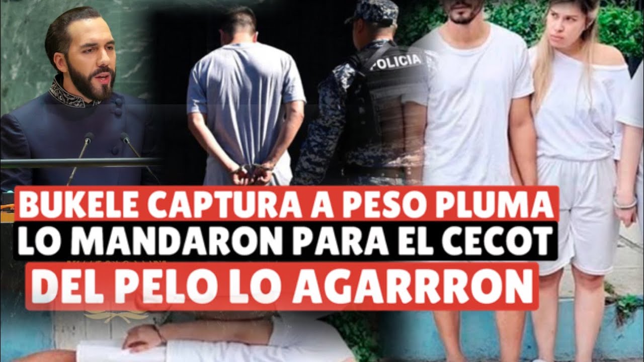 Bukele Captura a Peso Pluma lo mando para el CECOT - YouTube