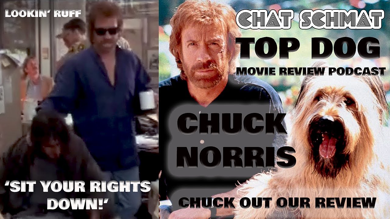 Chuck Norris Does K-9 And Turner And Hooch - Top Dog Movie Review ...