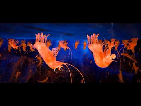 Happy Feet Two - Under Pressure Scene (HD)