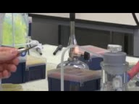 Scientists use computer to make synthetic bacteria - YouTube