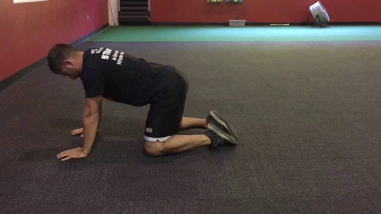 Quadruped Thoracic Rib Roll - YouTube