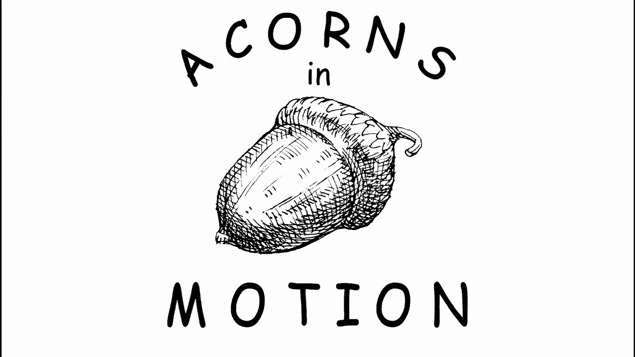 ACORNS in MOTION - YouTube