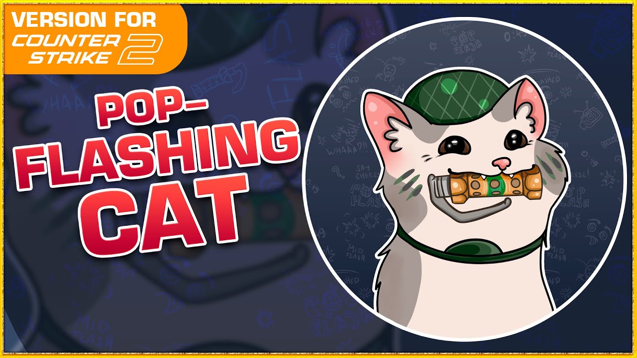 CS2 STICKER | Pop-flashing cat - YouTube