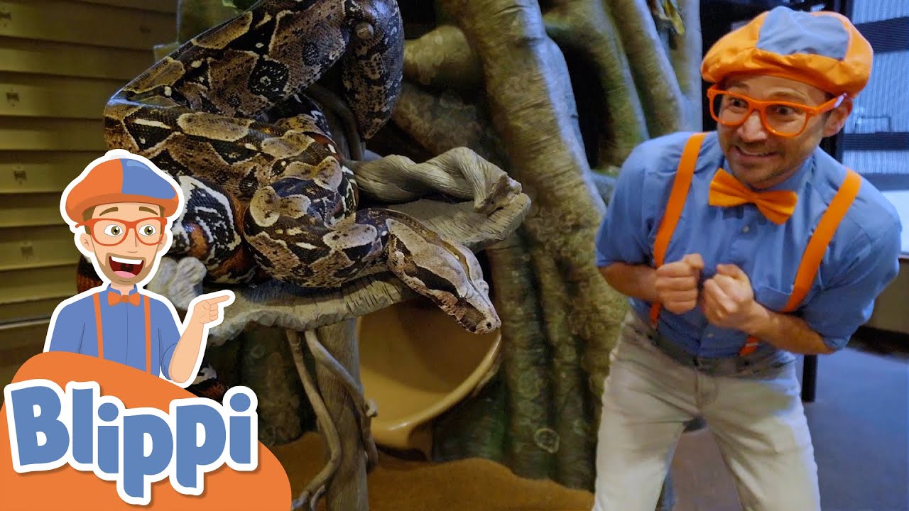 Blippi Plays & Feeds Animals At The Zoo! | Animals For Kids ...