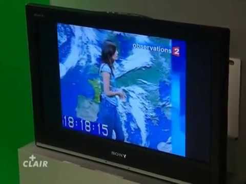 Tania Young [Canal+ - +Clair - 08/03/2008]