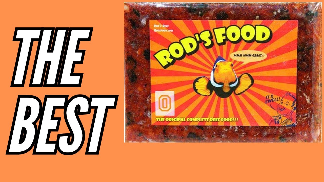 Best saltwater fish food - Rod's food - YouTube