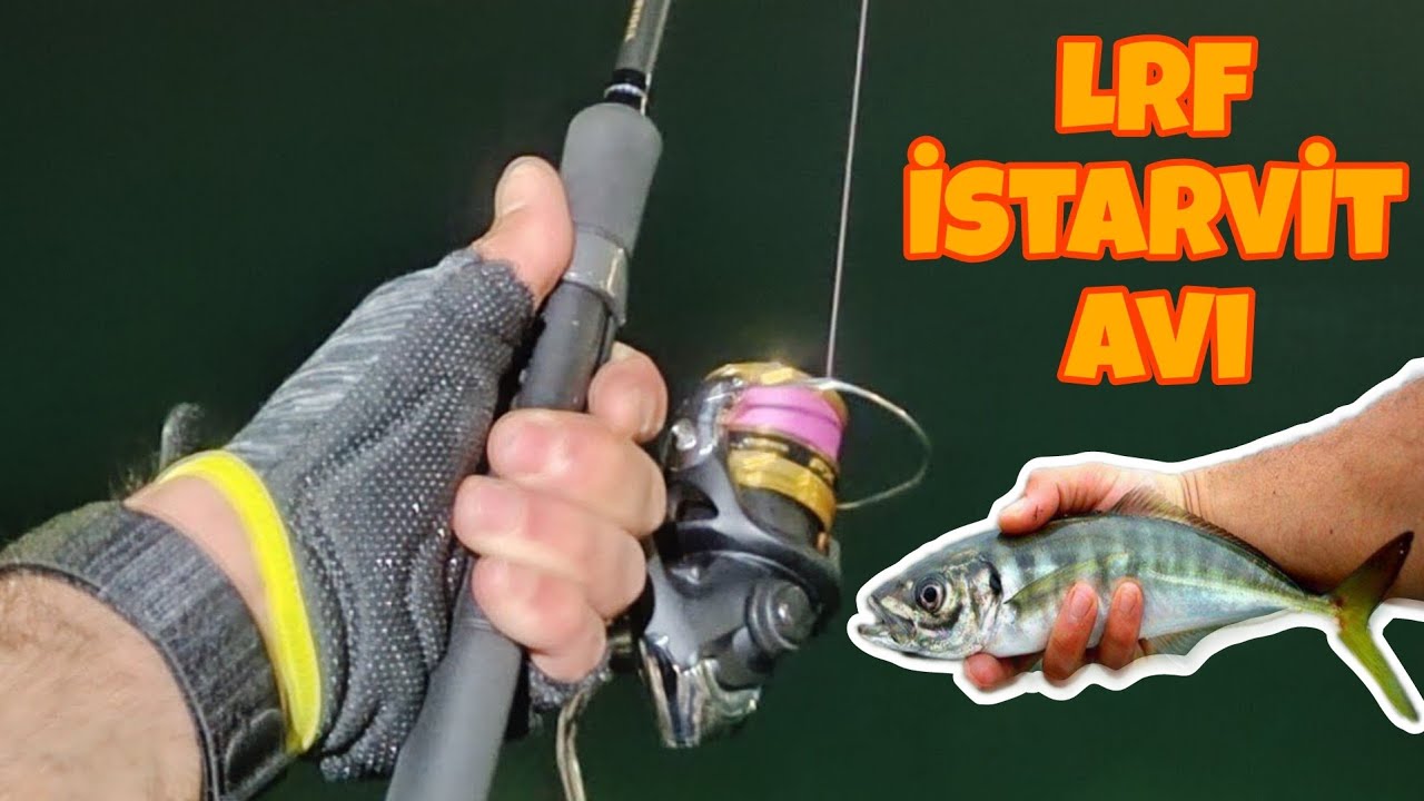 Çoşan İstarvitler 🐠 #fishing #balıkavı #lrf #fish #balık #aksiyon # ...