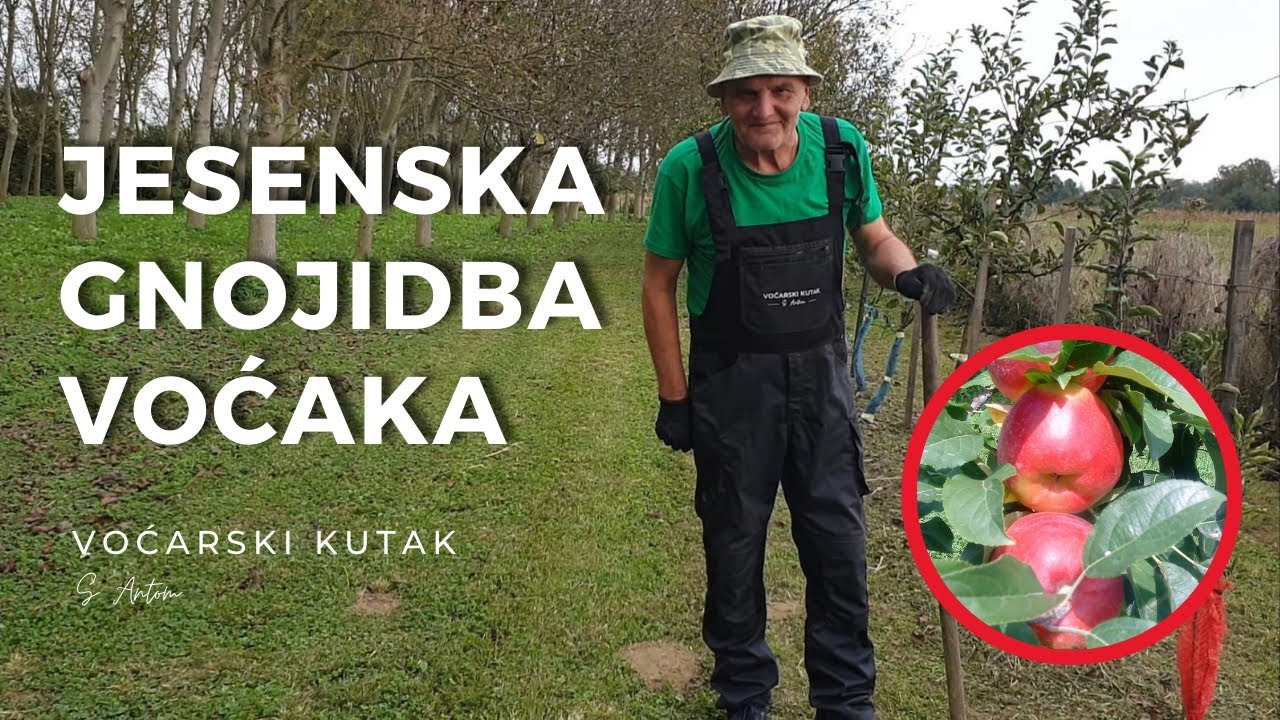 Jesenska Gnojidba Voćaka - Fall Fertilization of Fruit Trees - YouTube