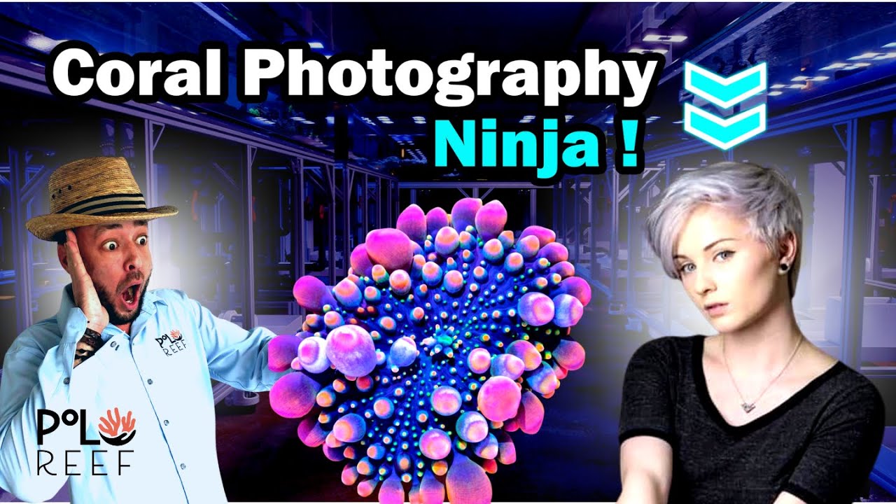 Becka Tyler reveals her secrets and tips! - YouTube