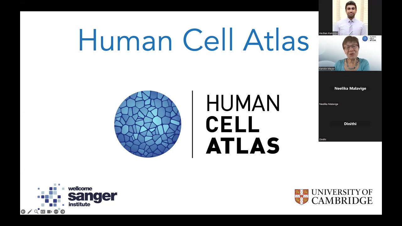 Single Cell Genomics: What is the Human Cell Atlas? - YouTube