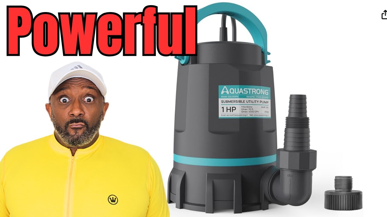 This Submersible Pump Will Remove Water FAST! - YouTube