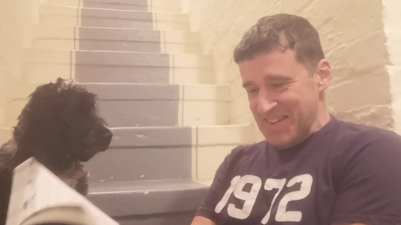 D-Day Dog by Tom Palmer chapter 4 - YouTube