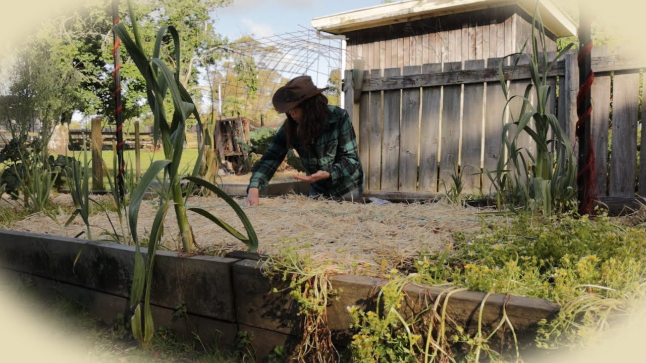 Blasting And Beans in The Bonkers Weather - YouTube