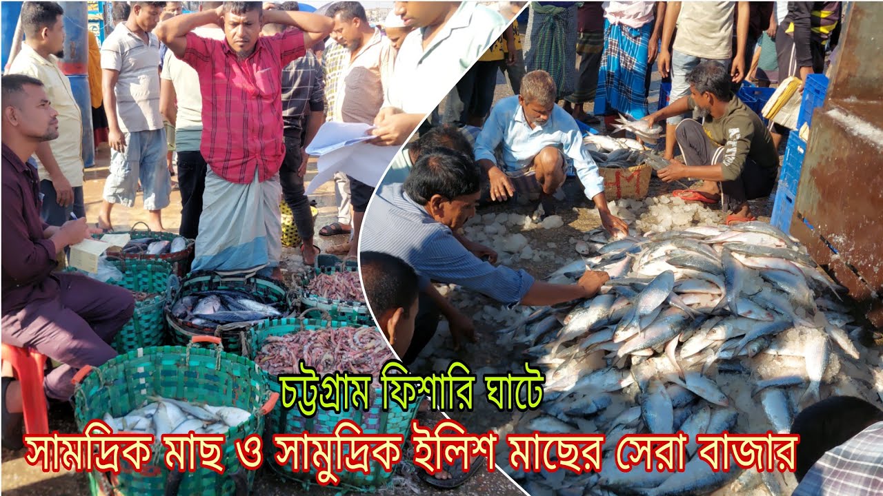 চট্টগ্রাম ফিশারী ঘাট সামুদ্রিক মাছ ও সামুদ্রিক ইলিশ মাছের সেরা বাজার ...