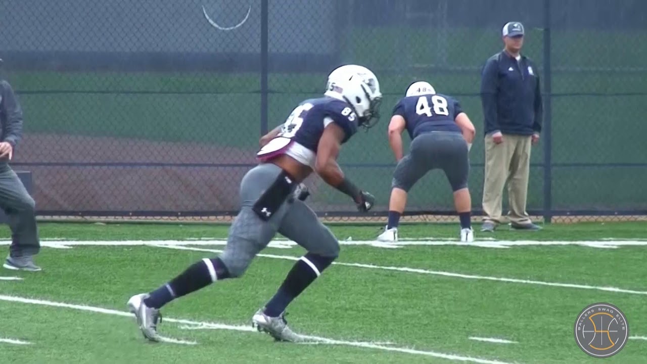6'4" WIDE RECEIVER Brian Breezy Sandifer Wisconsin Stout MIX 2017 - YouTube