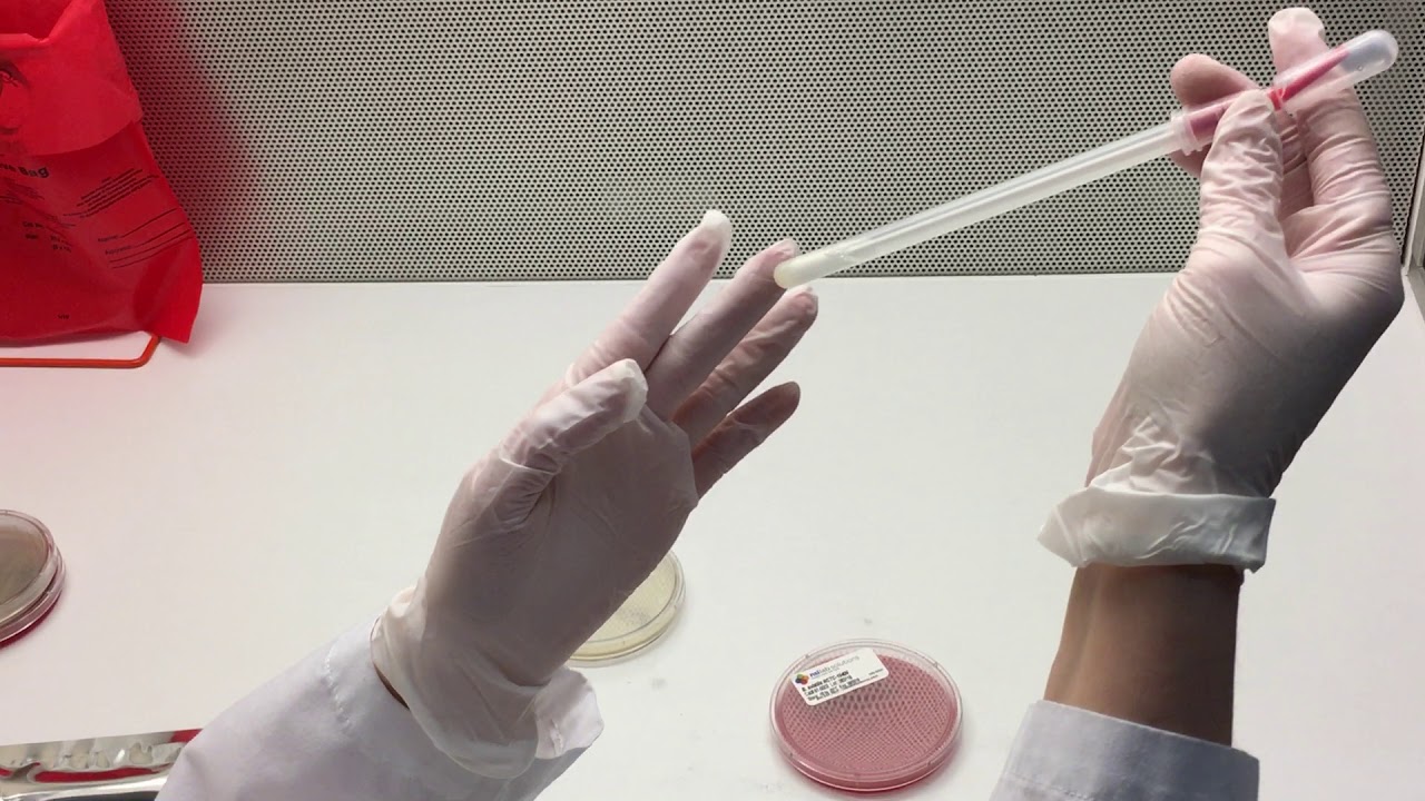 Snap-Stick™ Product Demonstration - YouTube