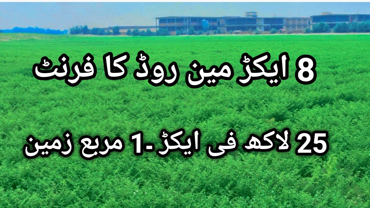 زرعی زمین برائے فروخت agricultural land for sale #viralvideo #cheap ...
