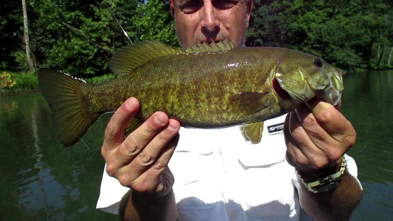 S08E20- All Day Float Eleven Point River - YouTube