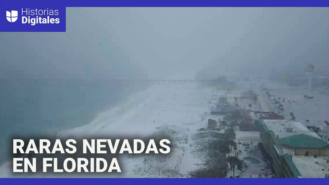 Raras nevadas en el norte de Florida dejan la costa cubierta de hielo ...