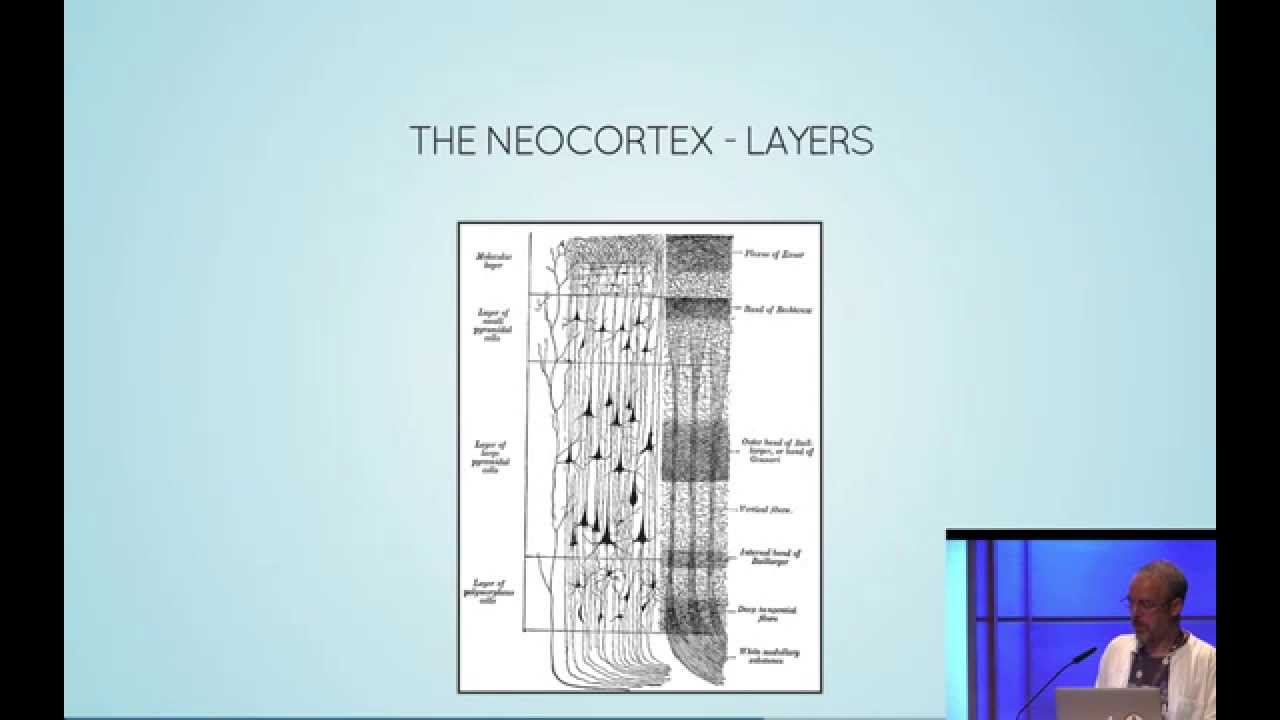EuroClojure '14: Clortex: Real Machine Intelligence based on ...