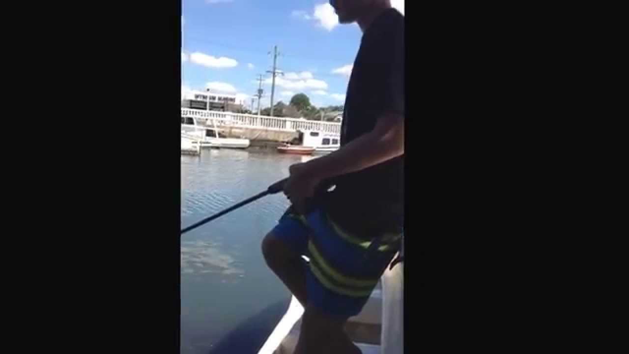 Fishing in wynnum creek - YouTube