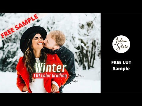 Free Film LUT WINTER After Effects | Free Reels VN LUT | Premiere Pro LUTs Free | Free Cinematic LUT