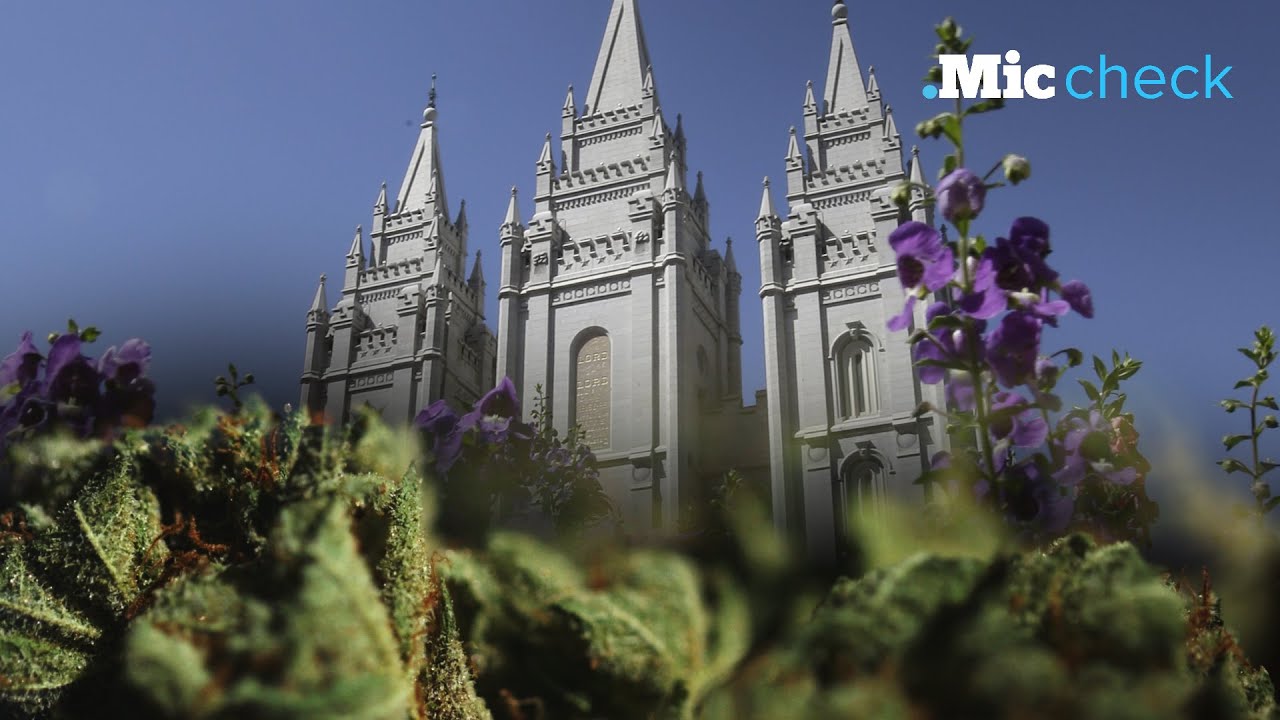 This Mormon senator wants to legalize medical marijuana | Mic Check ...