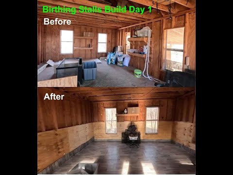 Goat Birthing Stalls Build Out DIY! - YouTube