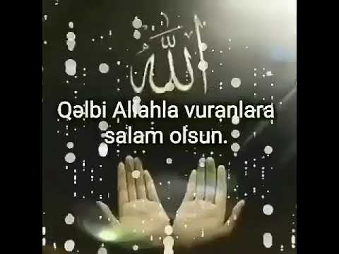 WhatsApp üçün yeni status video və mahnı 2019 mp3