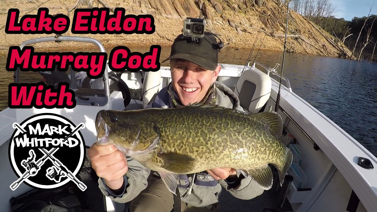 Lake Eildon Murray Cod With Mark Whitford - YouTube