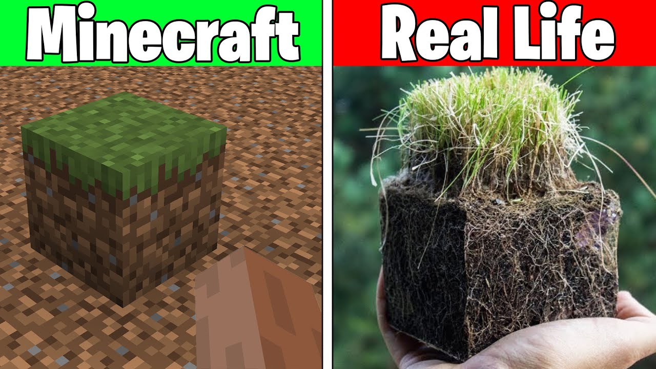 Realistic minecraft | Realistic water | ALL MINECRAFT MOBS VS REAL LIFE ...