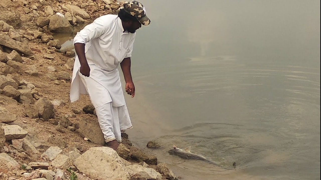 Amazing Big patan fish unique fish trap big valuga fishing - YouTube